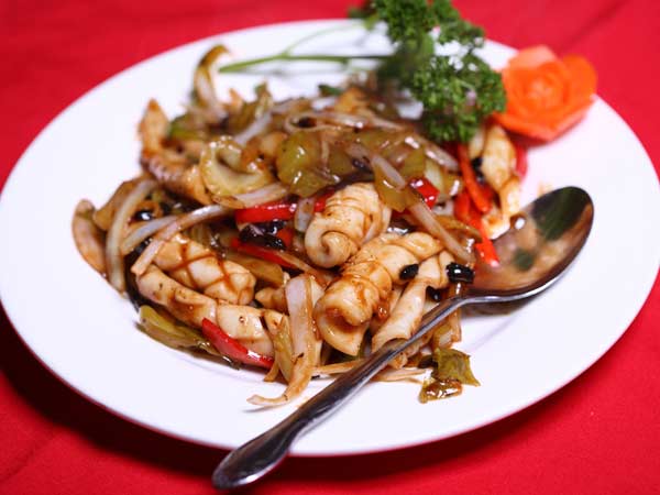 Squid